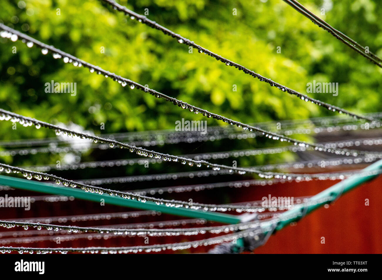 Rows of water droplets seen on washing line after the rain Stock Photo ...