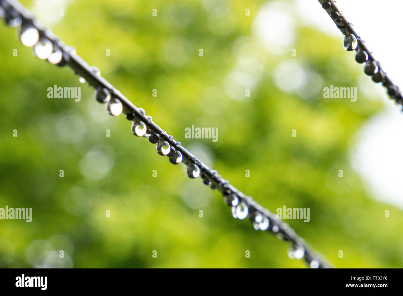 Rows of washing hi-res stock photography and images - Alamy