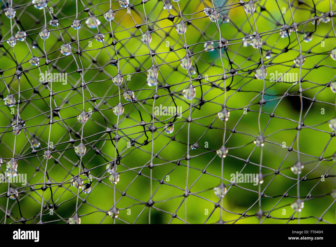 Wet netting hi-res stock photography and images - Alamy