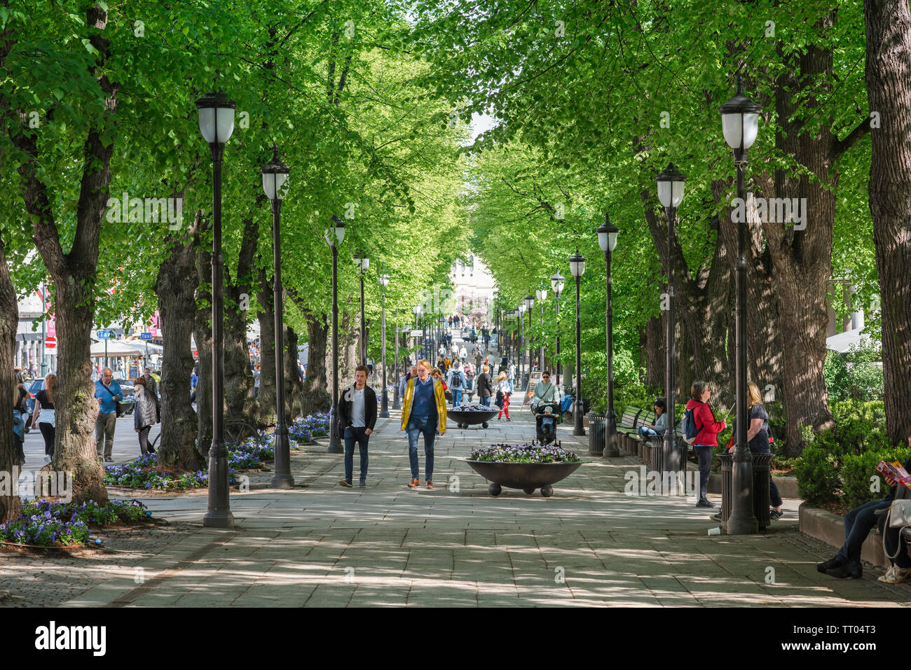 Karl johans gate hi-res stock photography and images - Alamy