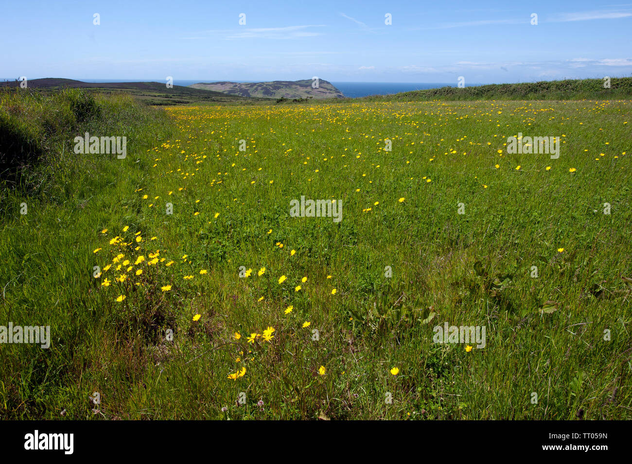 Cregneash village, Isle of Man, British Isles Stock Photo - Alamy