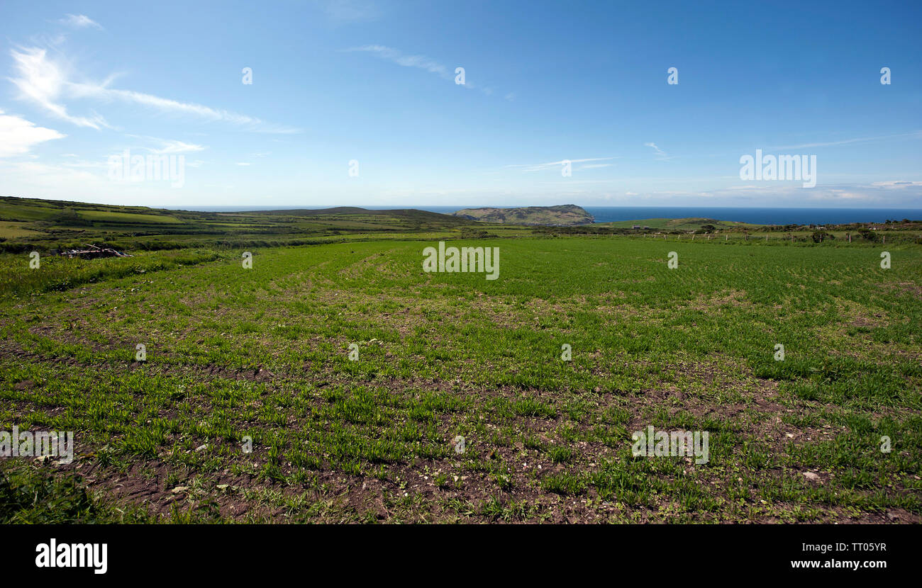 Cregneash village, Isle of Man, British Isles Stock Photo - Alamy