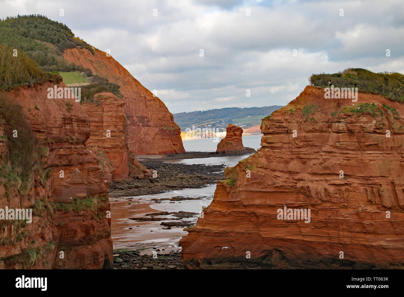 A sandstone sea stack at Ladram Bay near Sidmouth, Devon. Part of the ...