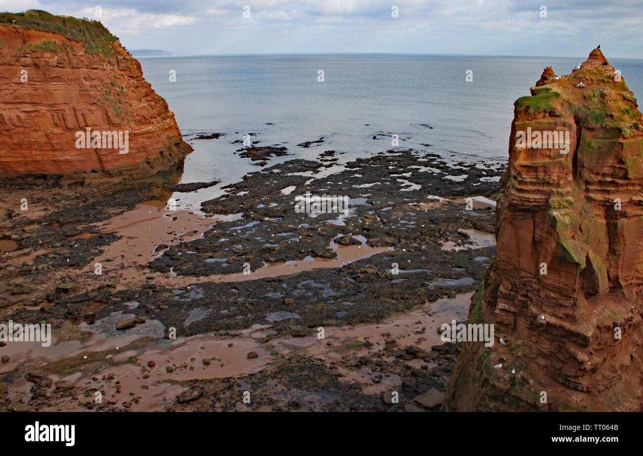 Sea Stack Devon Stock Photos & Sea Stack Devon Stock Images - Alamy