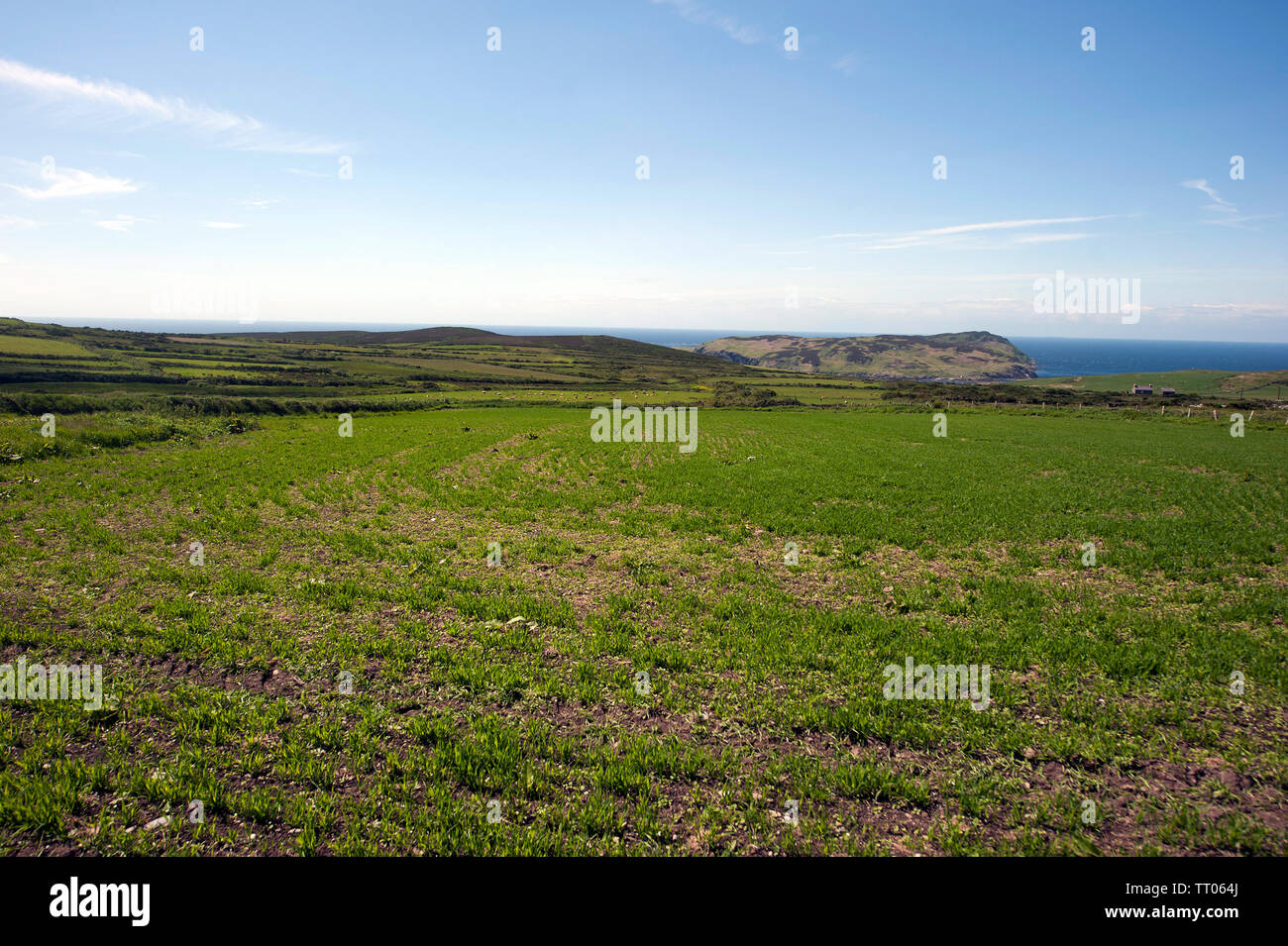 Cregneash village, Isle of Man, British Isles Stock Photo - Alamy