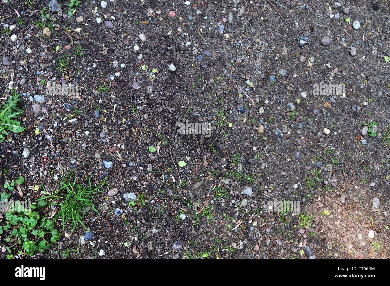 Close up surface of gravel ground textures in high resolution Stock ...
