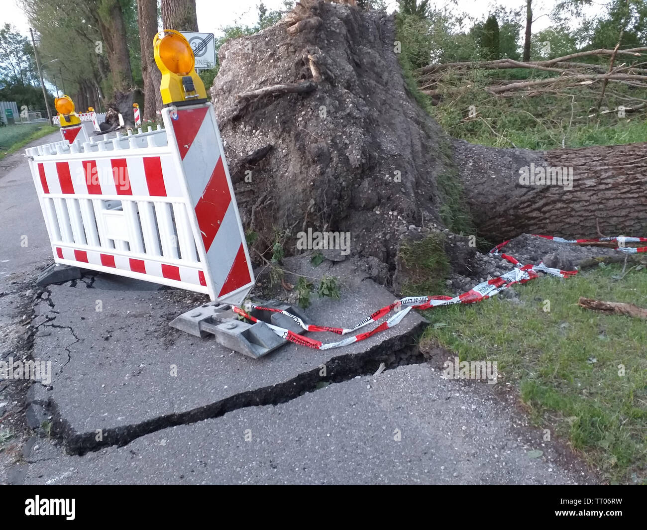 Tree root damage after storm damages on 10th of june in Munich, Bavaria ...