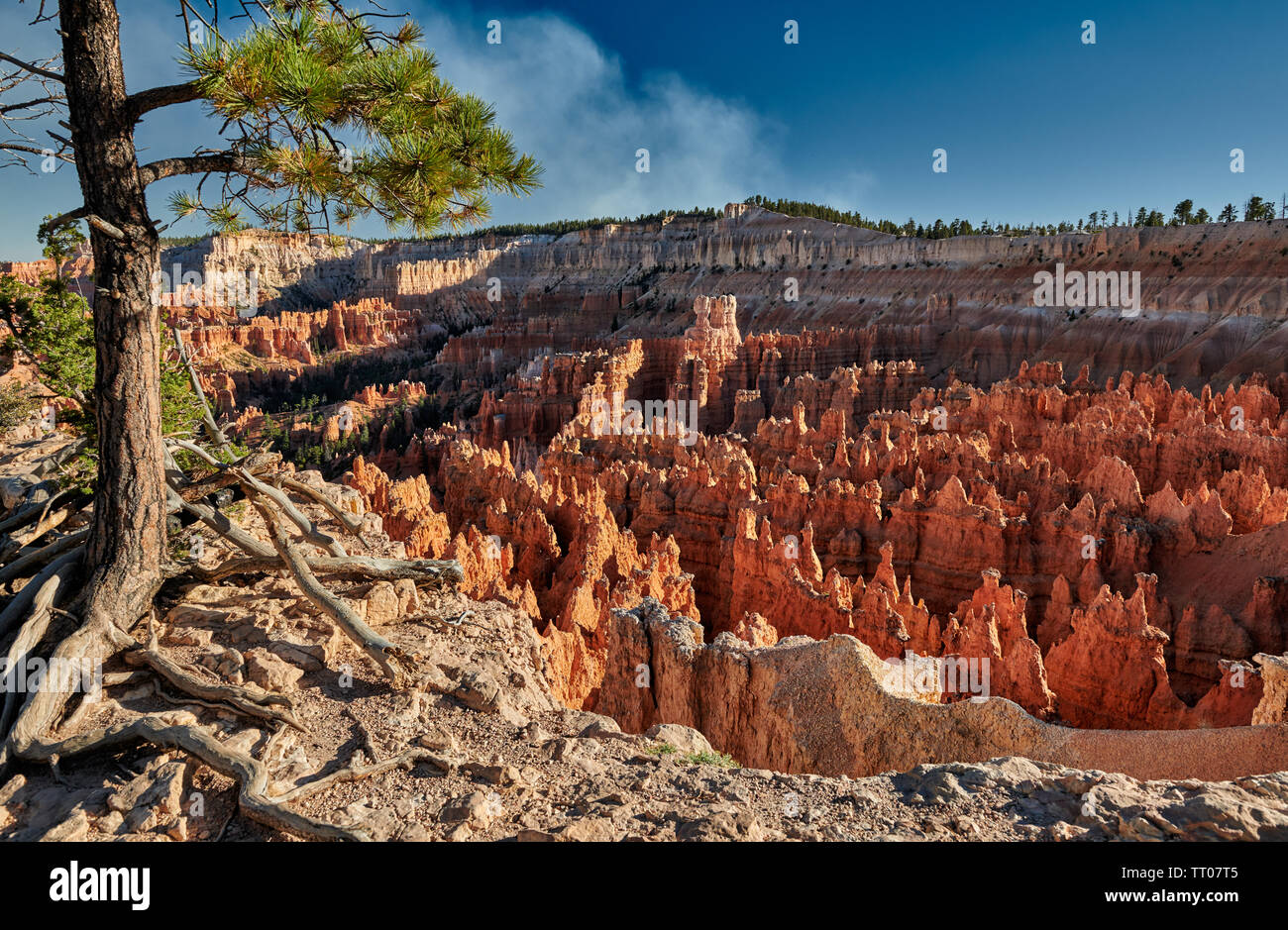 Bryce Canyon National Park, Utah, USA, North America Stock Photo - Alamy