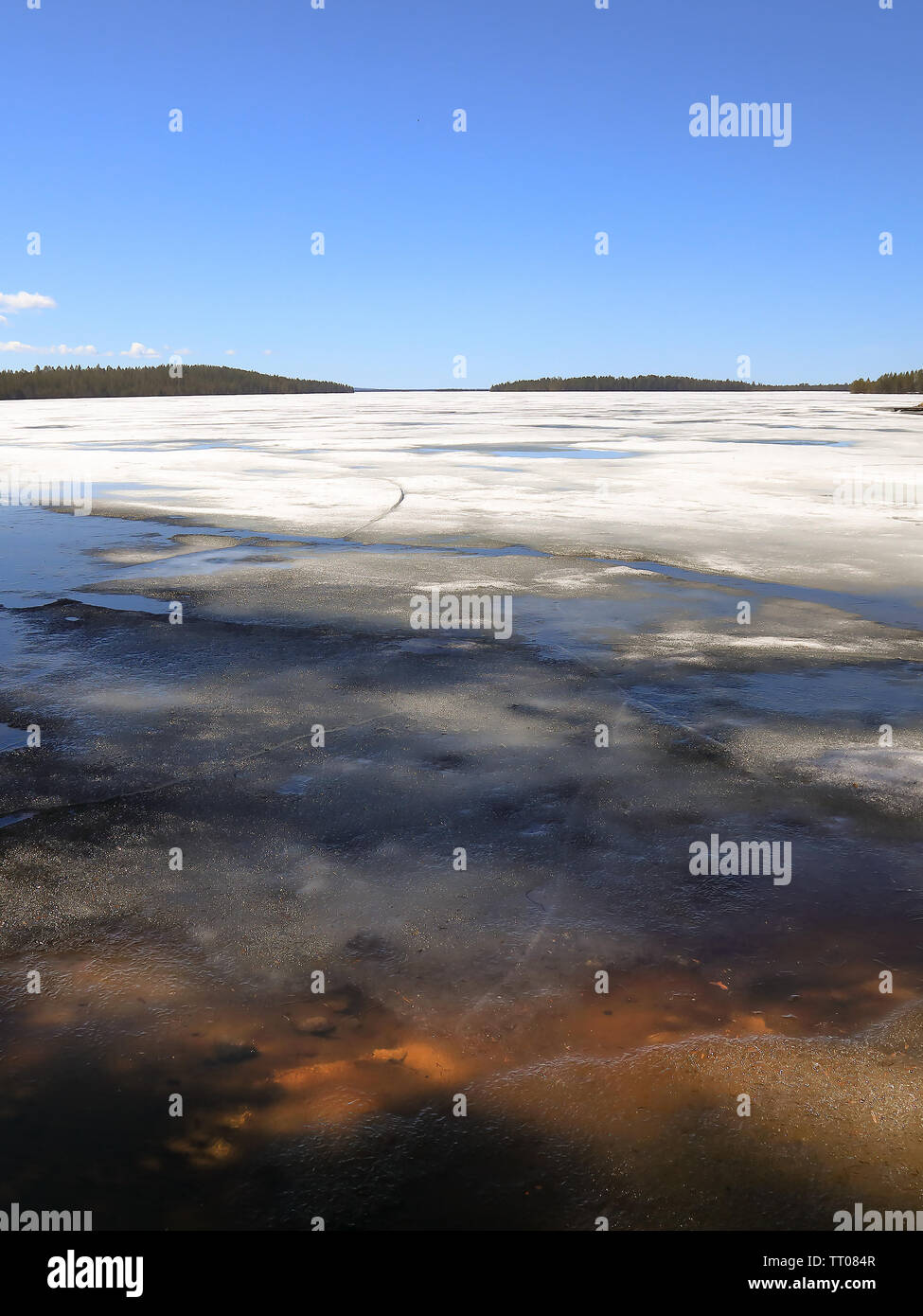 Spring day on the lake Stock Photo - Alamy