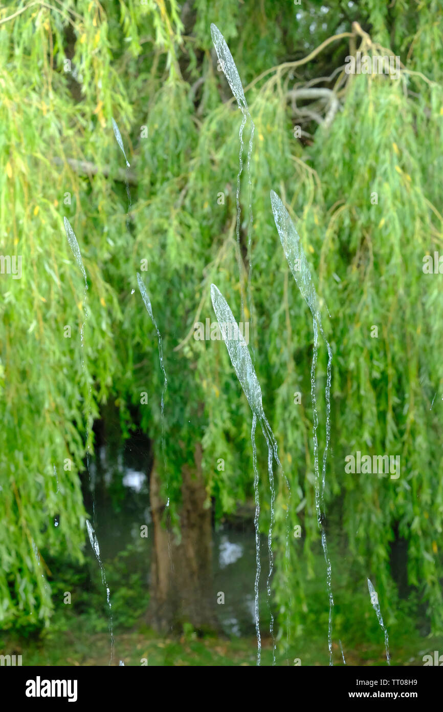 Felpham, West Sussex, UK. Large glass window splattered with large ...