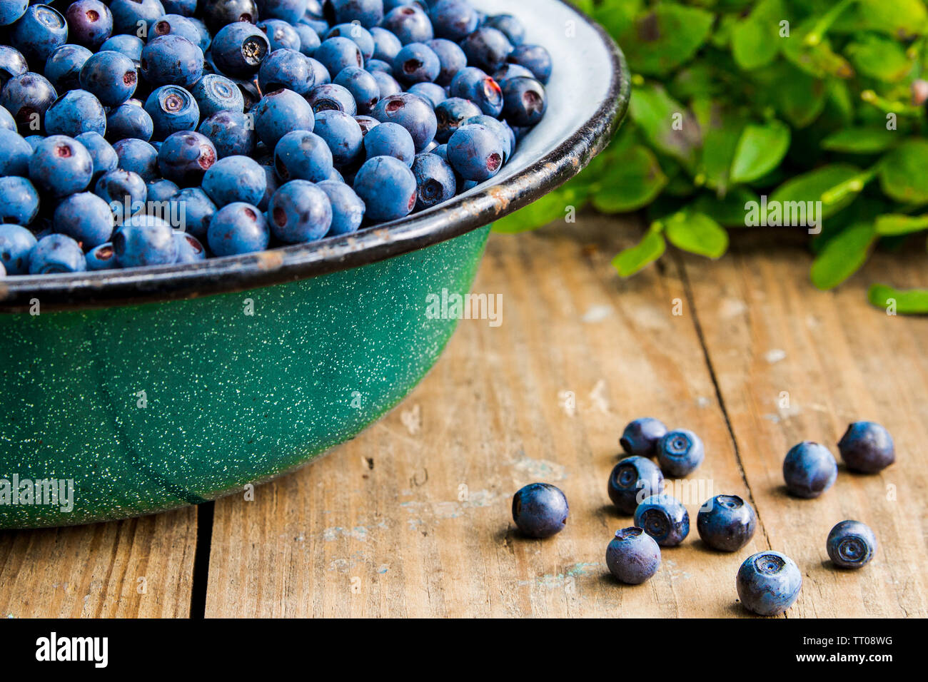 Fresh Bilberries from a bowl on old wooden table. Leaves with berries ...