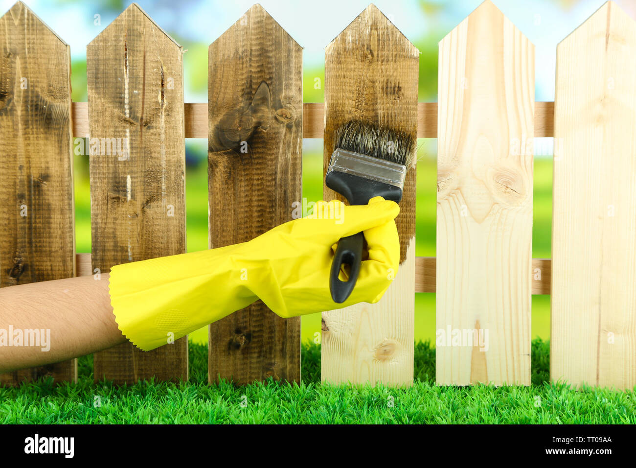 Applying protective varnish to wooden fence, on bright background Stock ...