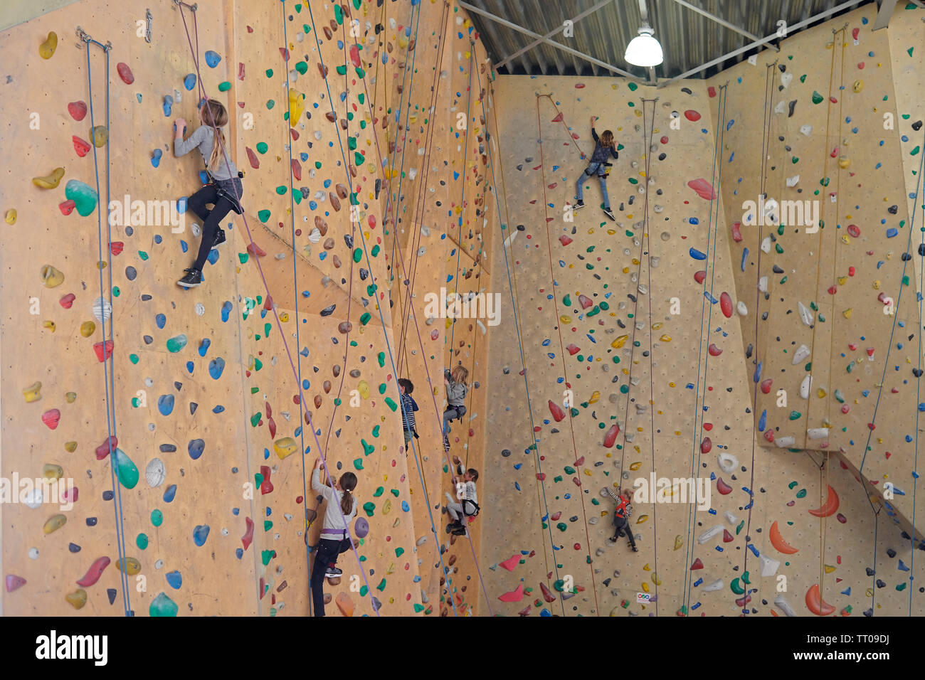 Young children climbing inside a climbing hall learning new skills and ...