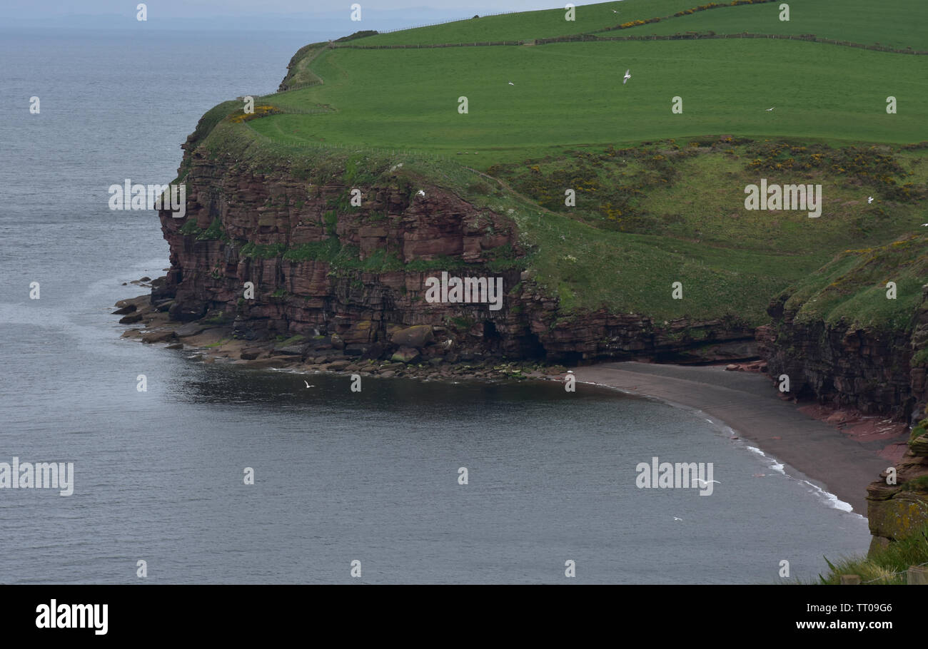 Beautiful sea cliffs surrounding Fleswick Bay in England Stock Photo ...