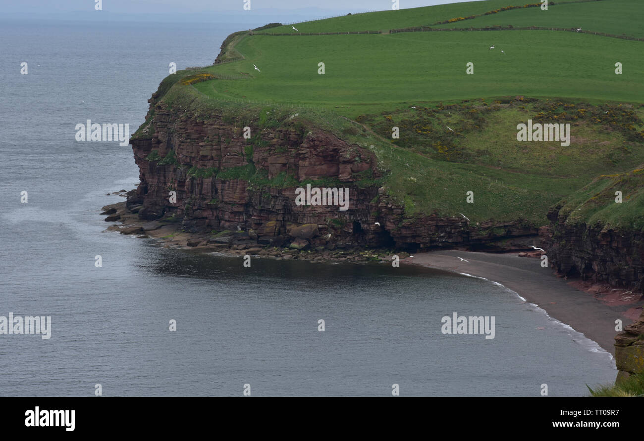 St bees head fleswick bay hi-res stock photography and images - Alamy