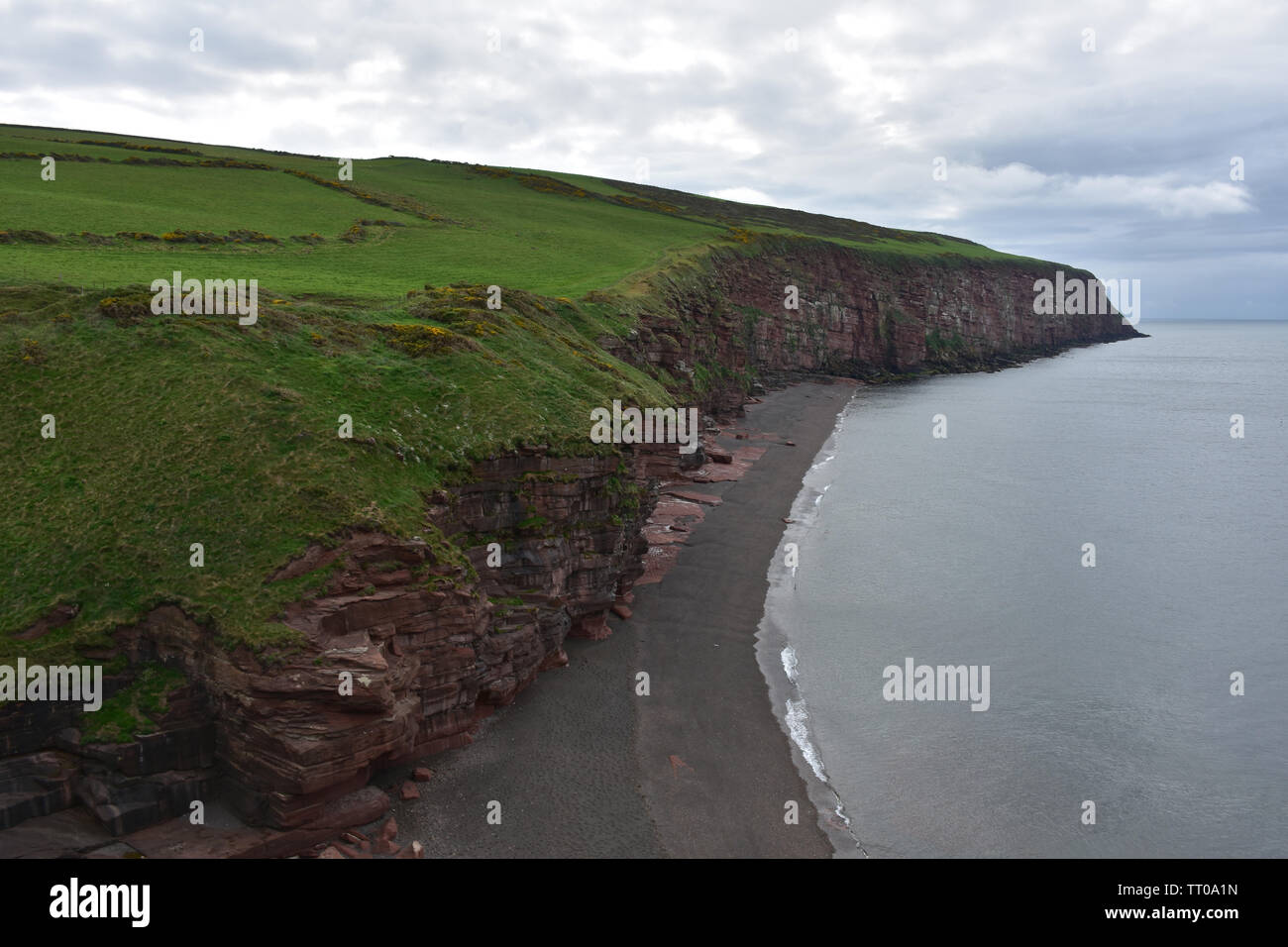 Beautiful red sandstone sea cliffs above Fleswick Bay in West Cumbria ...