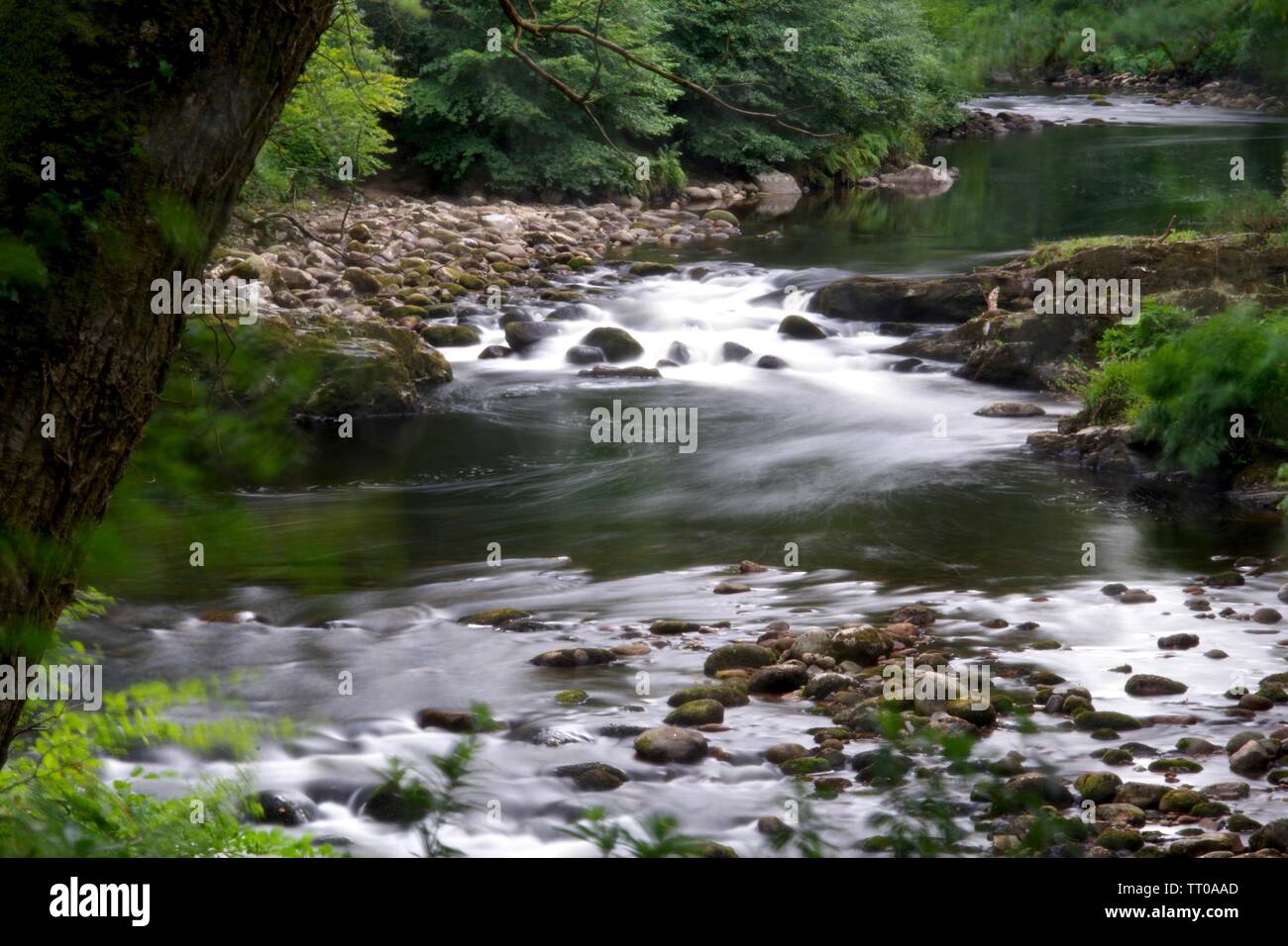 Pools and Riffles along the Idyllic River Dart through Holne Woods ...