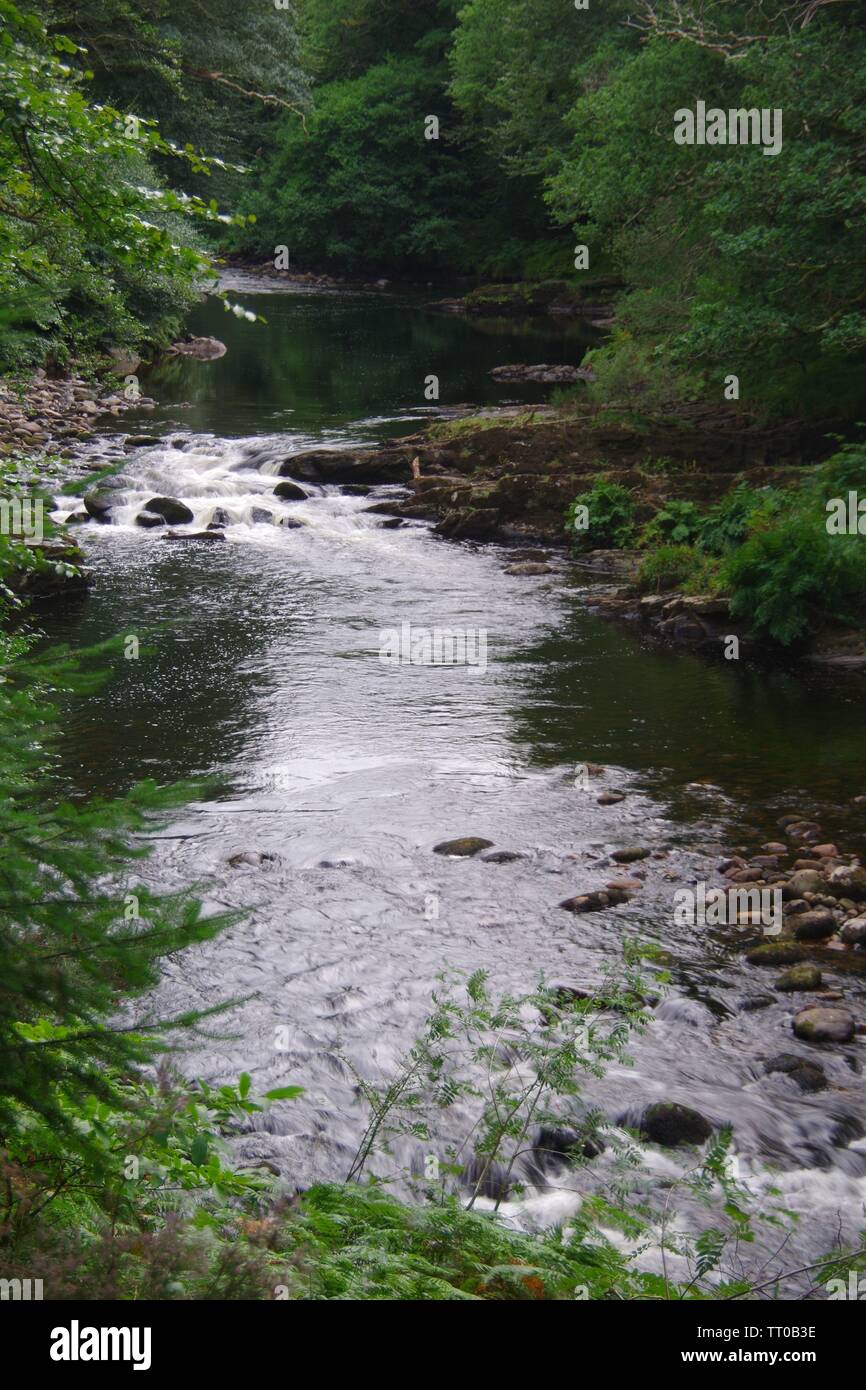 Pools and Riffles along the Idyllic River Dart through Holne Woods ...