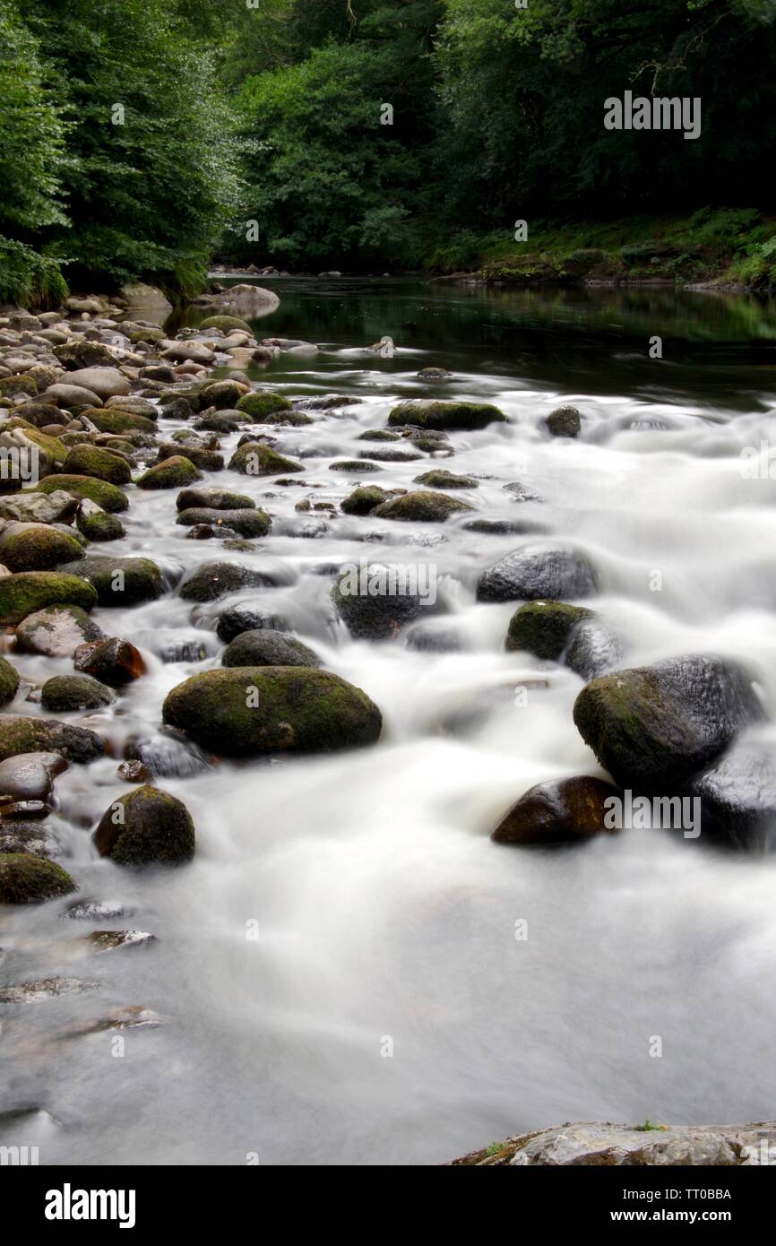 Intimate Landscape of the River Dart Cascading over Granite Boulders at ...