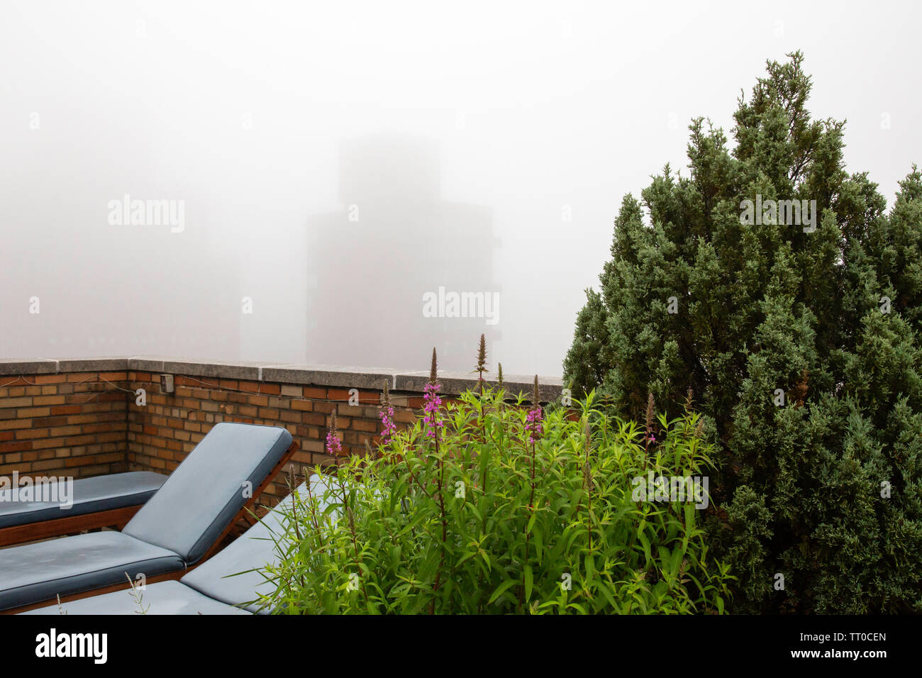 High rise skyscraper skyscrapers building buildings architecture ...