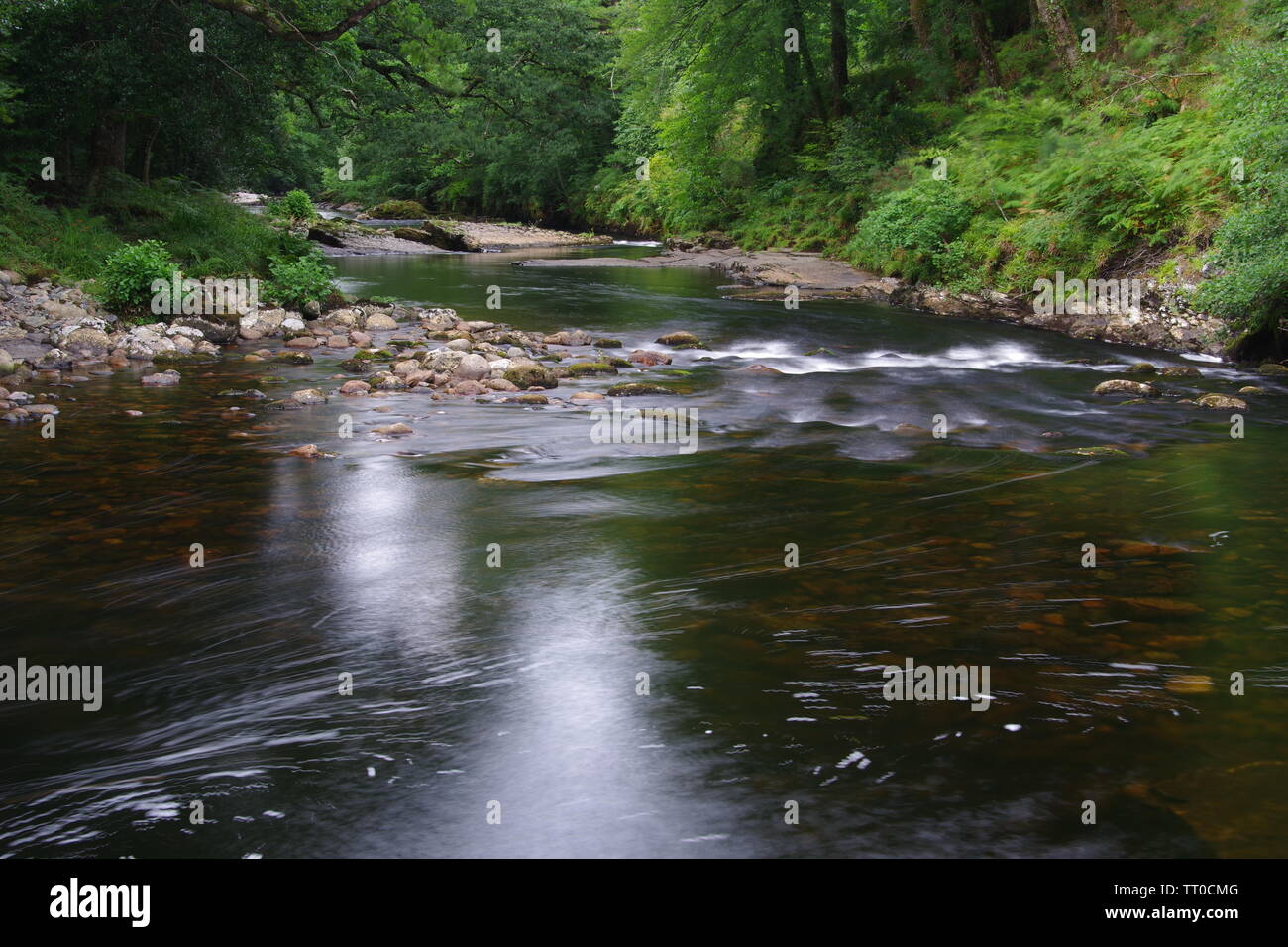 Pools and Riffles along the Idyllic River Dart through Holne Woods ...