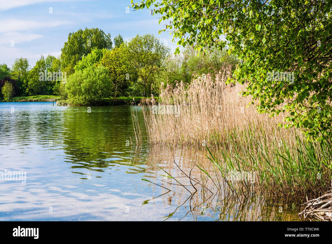 Cotswold water park summer hi-res stock photography and images - Alamy