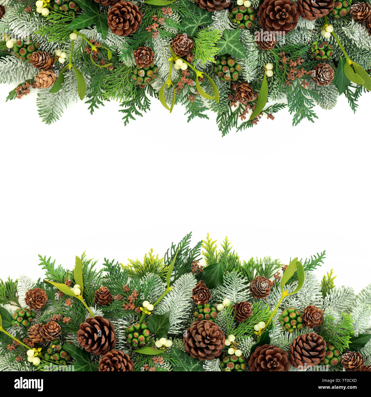 Winter and Christmas background border with flora of snow covered ...