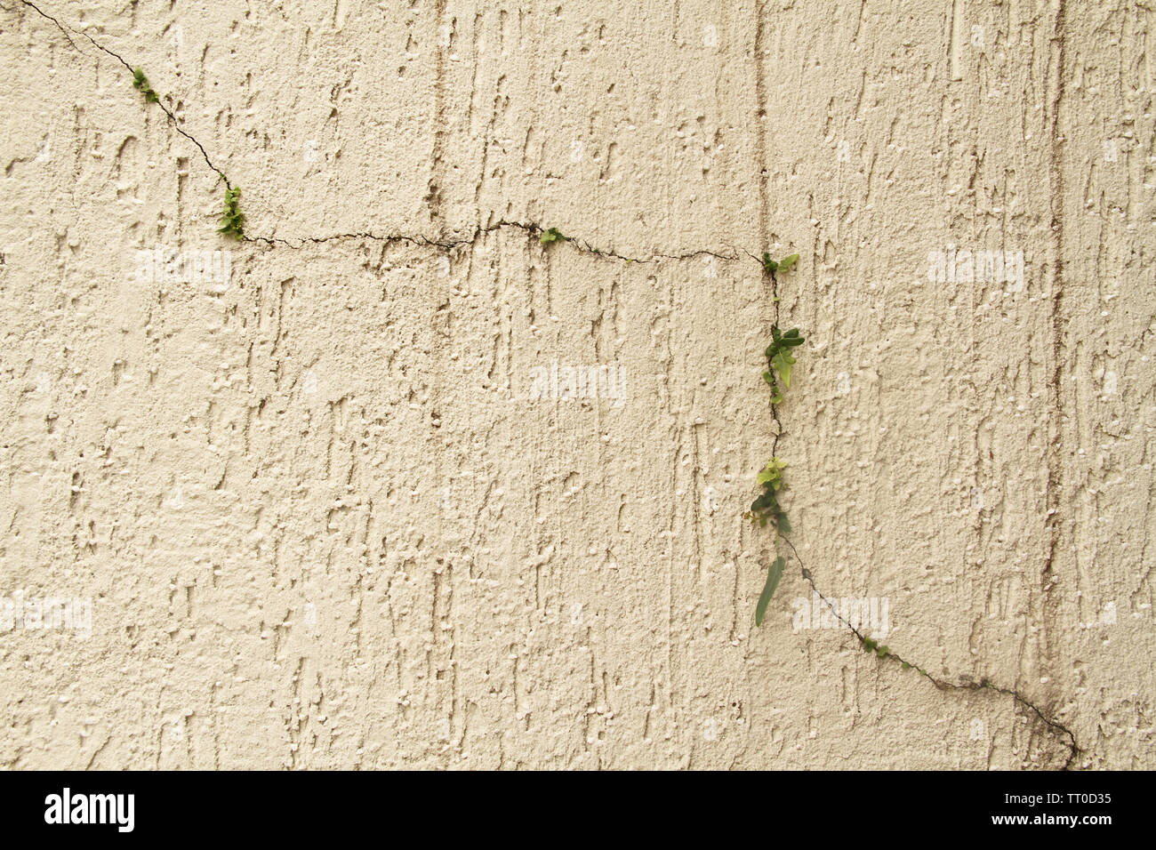 Cracked wall texture, São Paulo, Brazil Stock Photo - Alamy