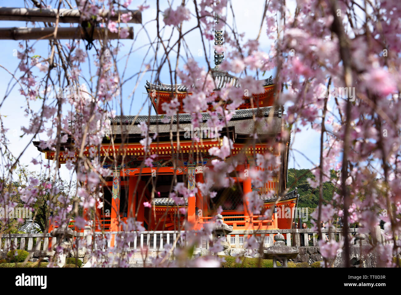 Japan kyoto temples and gardens hi-res stock photography and images - Alamy