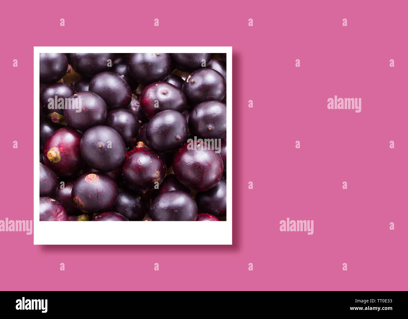 Acai fruits in instant photo frame, space for text Stock Photo - Alamy
