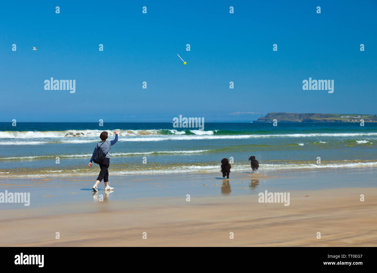 White Rocks Beach. Causeway Coastal Route. Antrim County, Northern ...