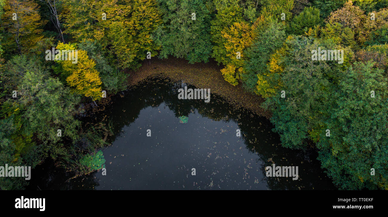 Aerial view. Dark lake in the shadow of hornbeam trees Stock Photo - Alamy