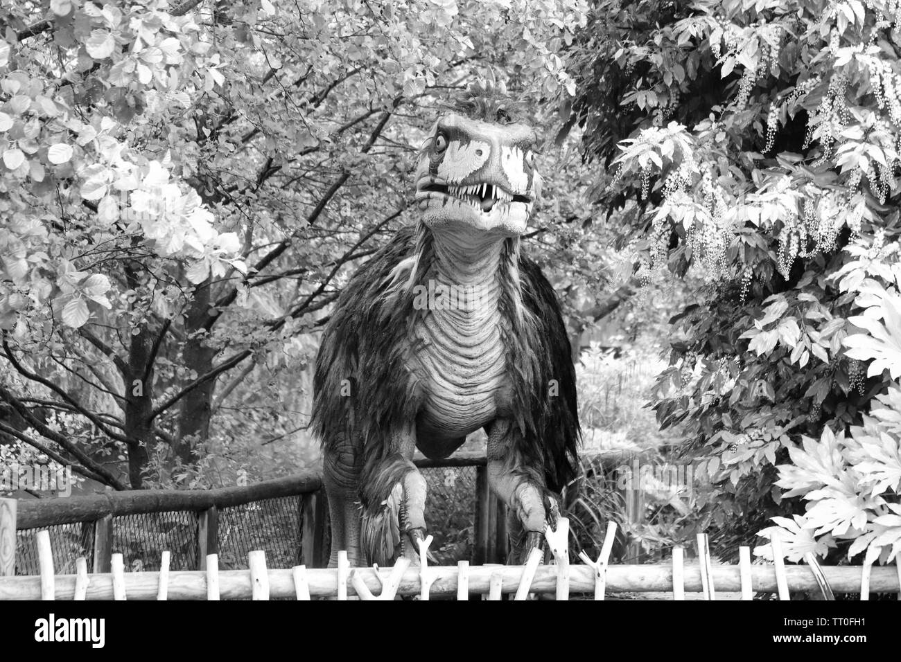 Fearsome predators a world first at Chester Zoo Stock Photo - Alamy