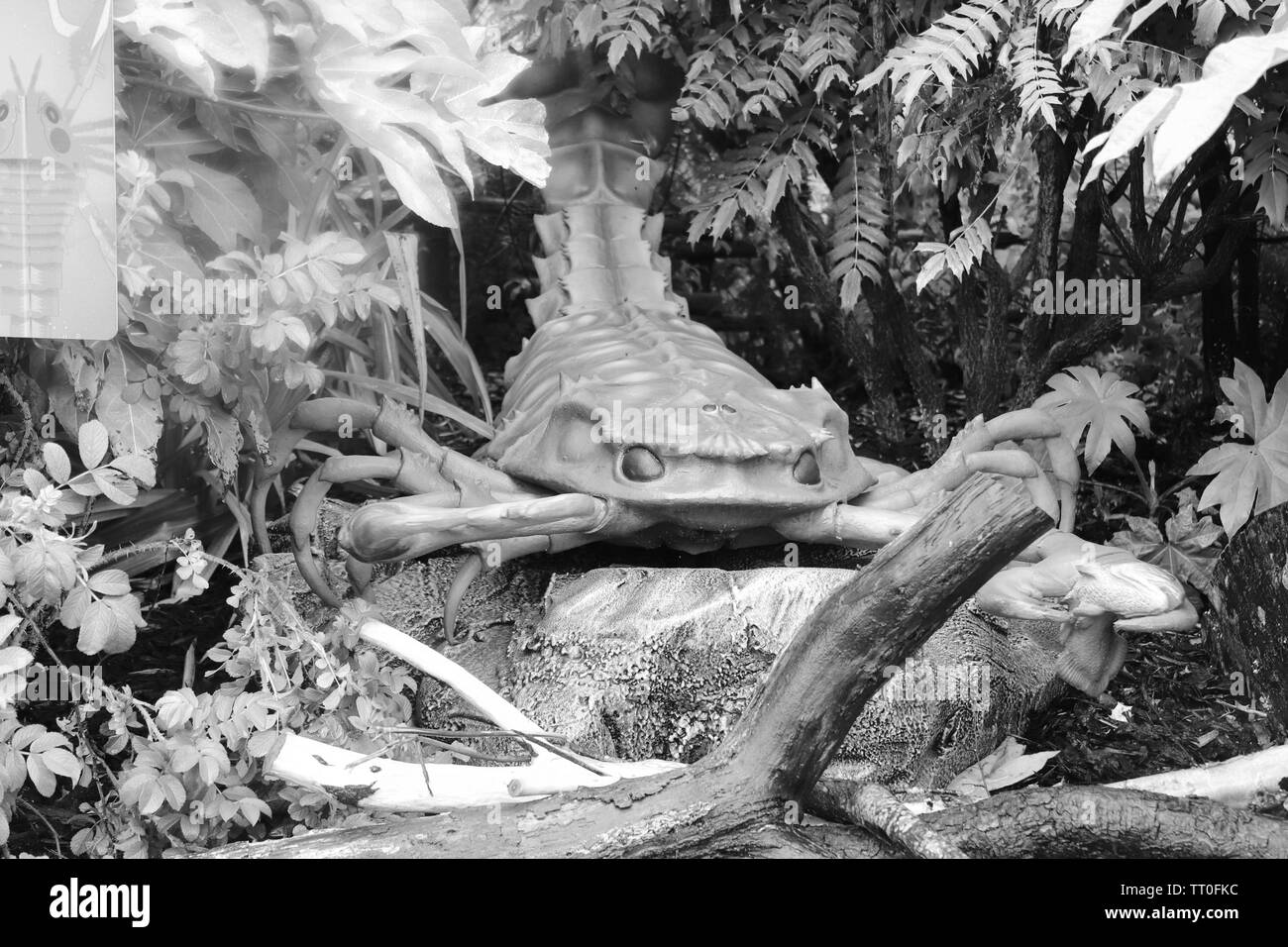 Fearsome predators a world first at Chester Zoo Stock Photo - Alamy