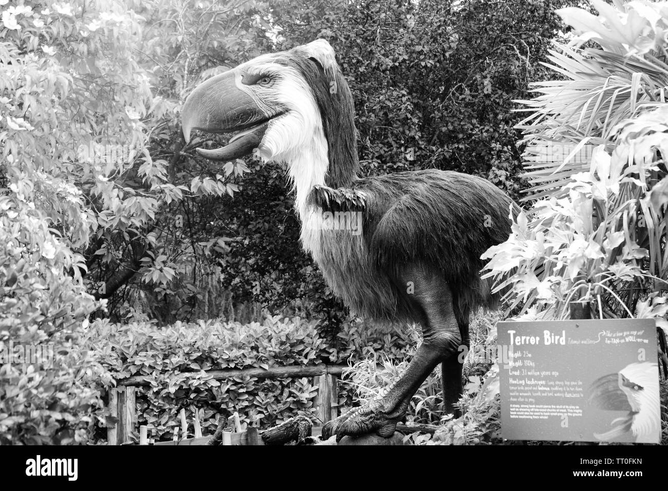 Fearsome predators a world first at Chester Zoo Stock Photo - Alamy