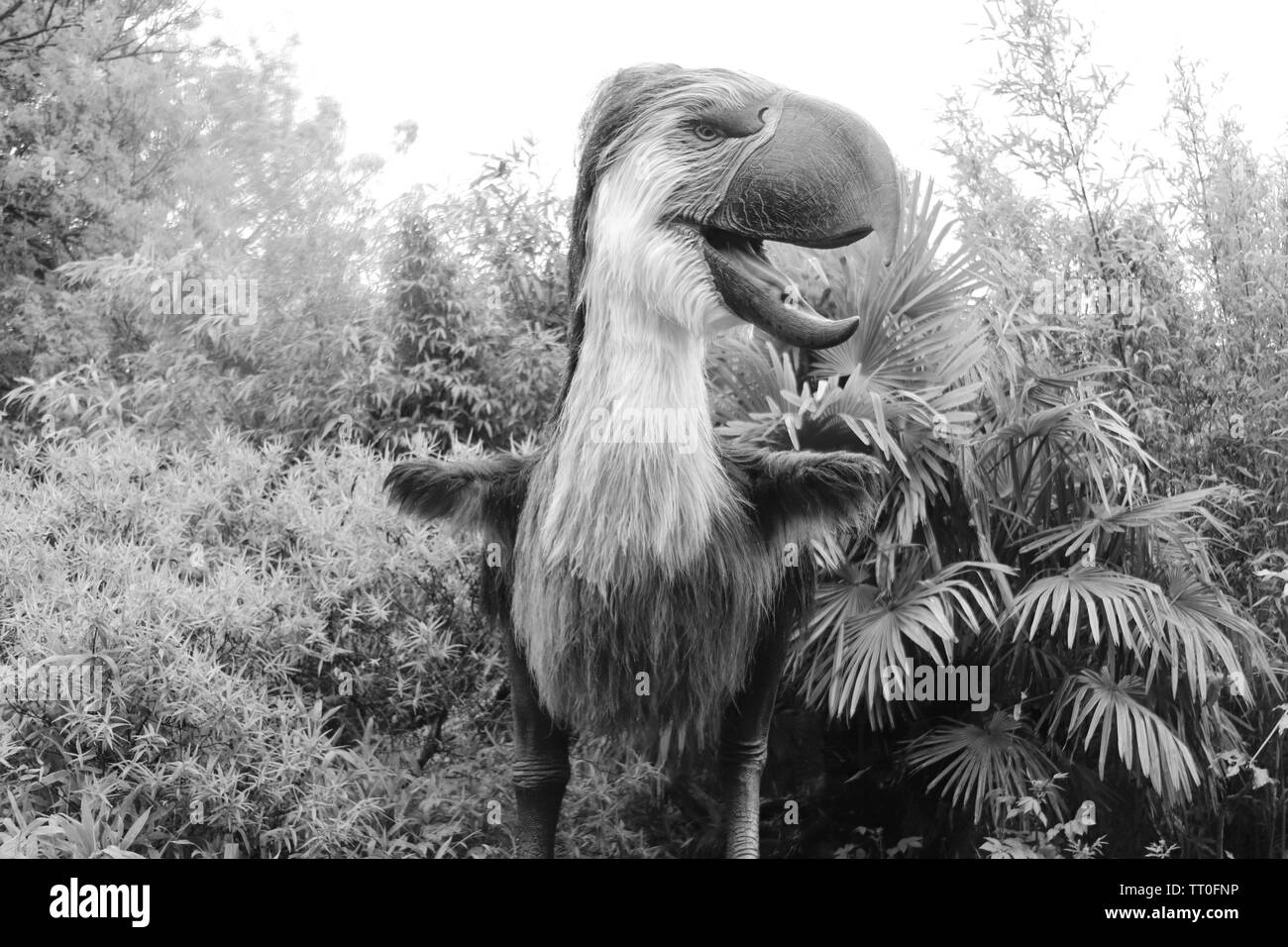Fearsome predators a world first at Chester Zoo Stock Photo - Alamy