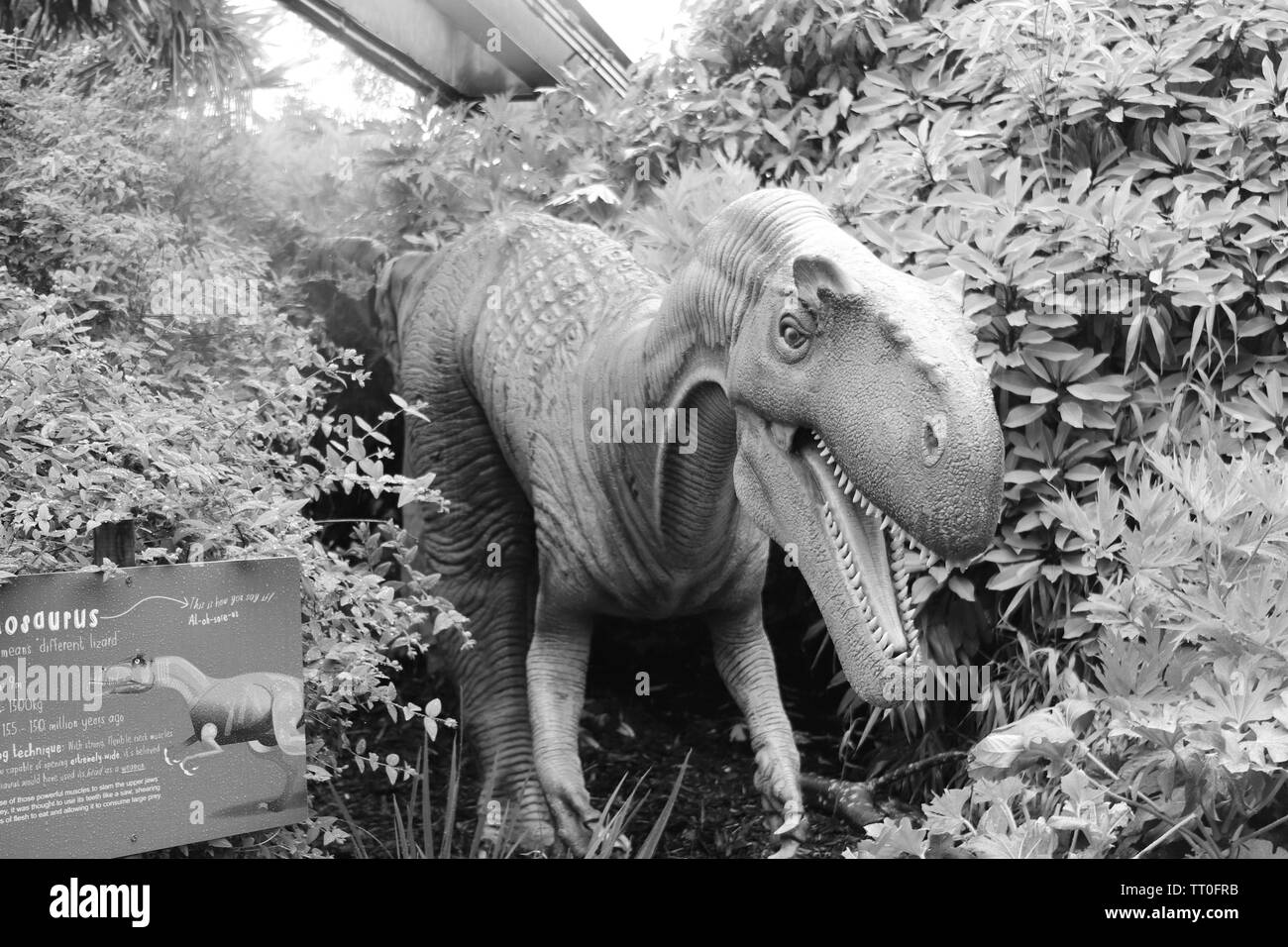 Fearsome predators a world first at Chester Zoo Stock Photo - Alamy