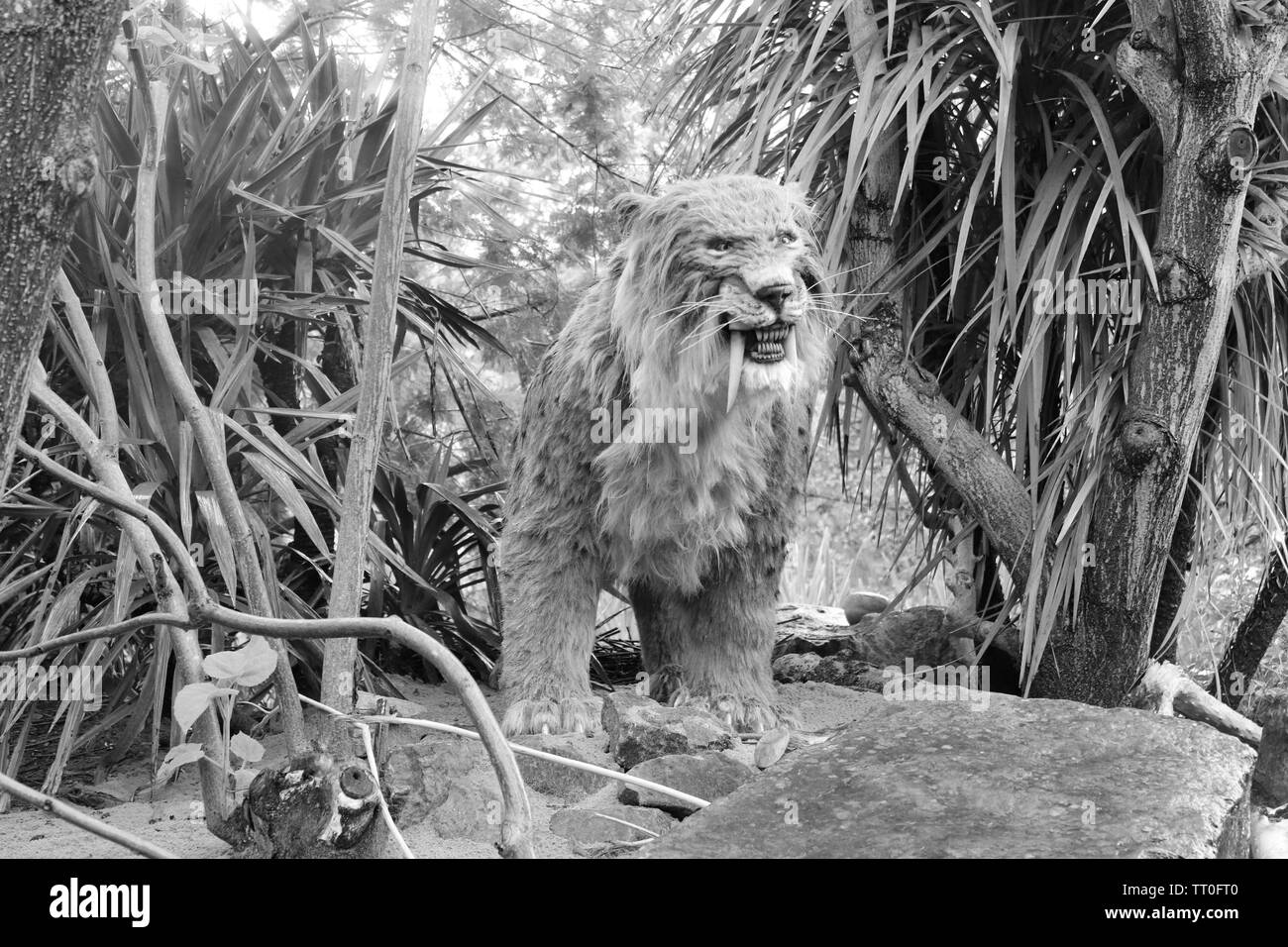 Fearsome predators a world first at Chester Zoo Stock Photo - Alamy