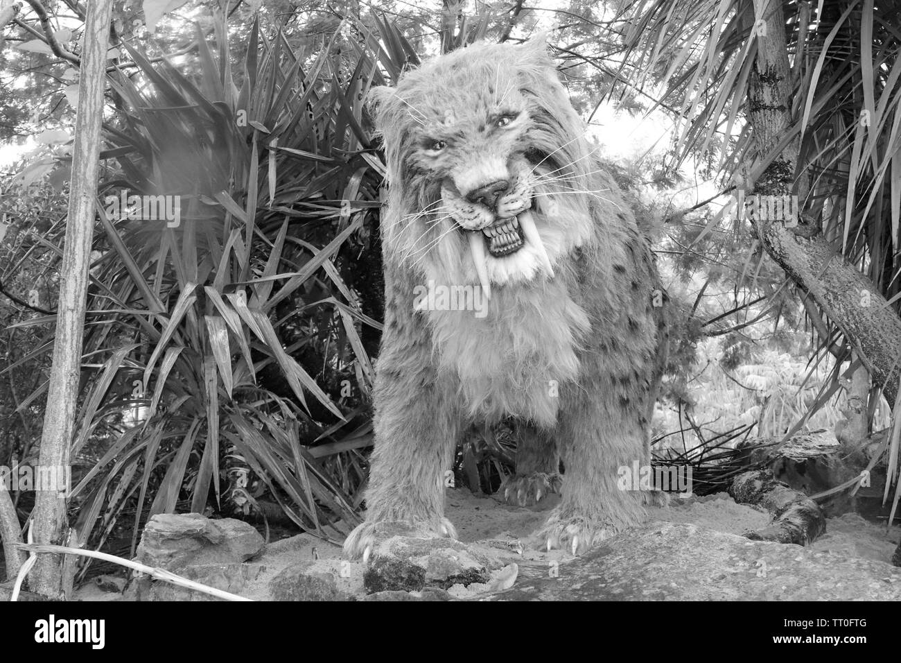 Fearsome predators a world first at Chester Zoo Stock Photo - Alamy