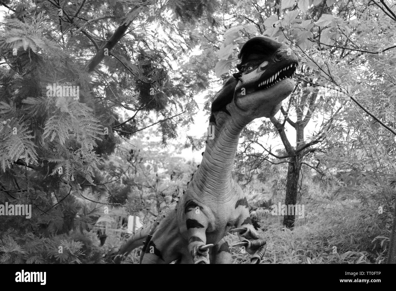 Fearsome predators a world first at Chester Zoo Stock Photo - Alamy