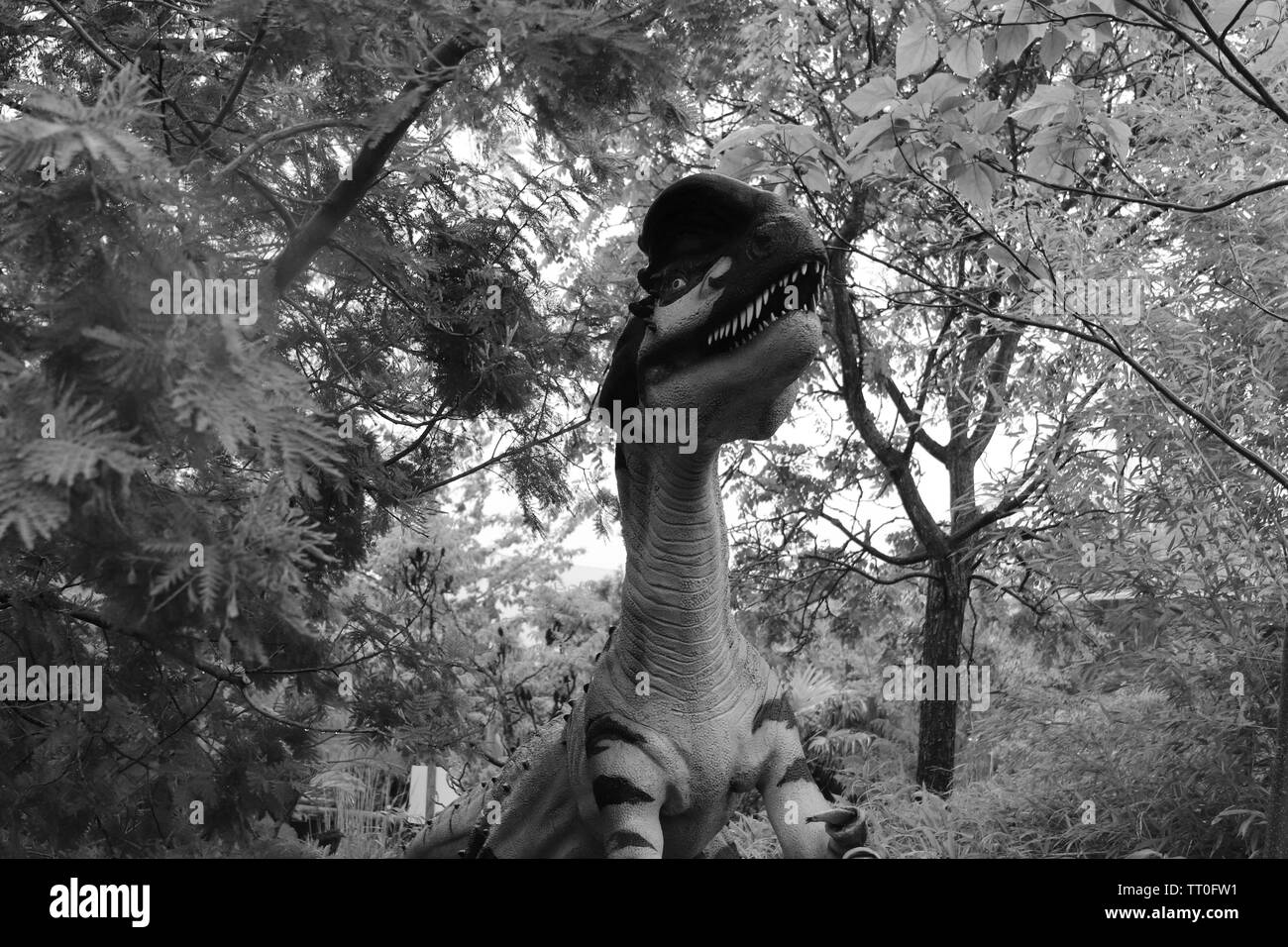 Fearsome predators a world first at Chester Zoo Stock Photo - Alamy