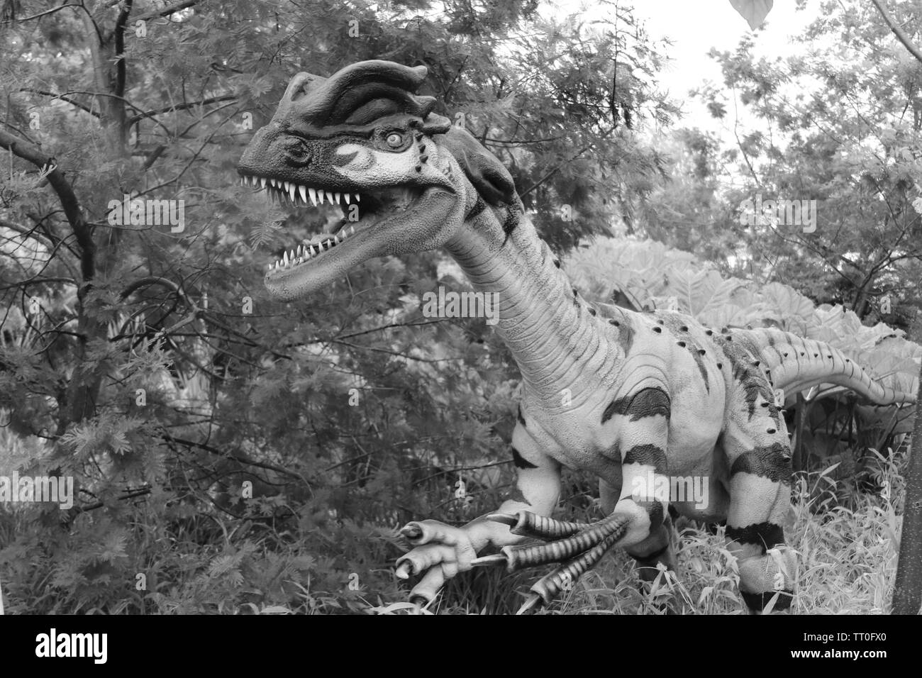 Fearsome predators a world first at Chester Zoo Stock Photo - Alamy