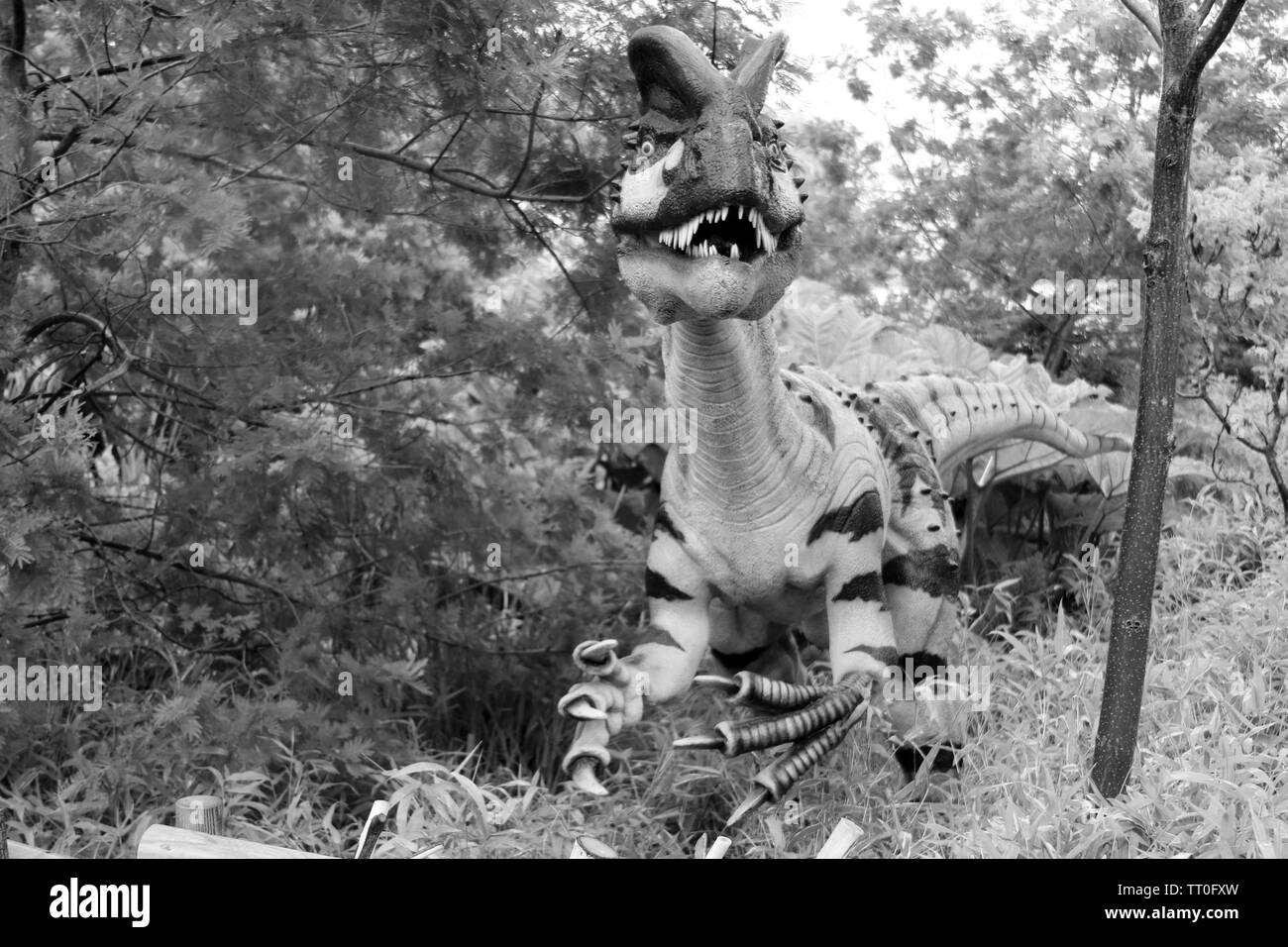 Fearsome predators a world first at Chester Zoo Stock Photo - Alamy