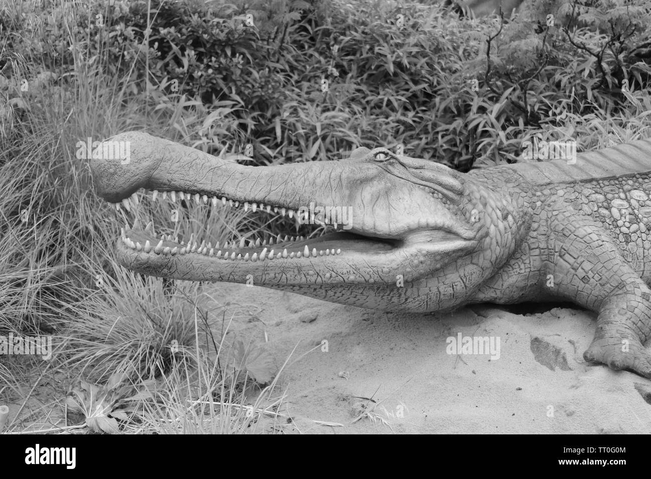 Fearsome predators a world first at Chester Zoo Stock Photo - Alamy
