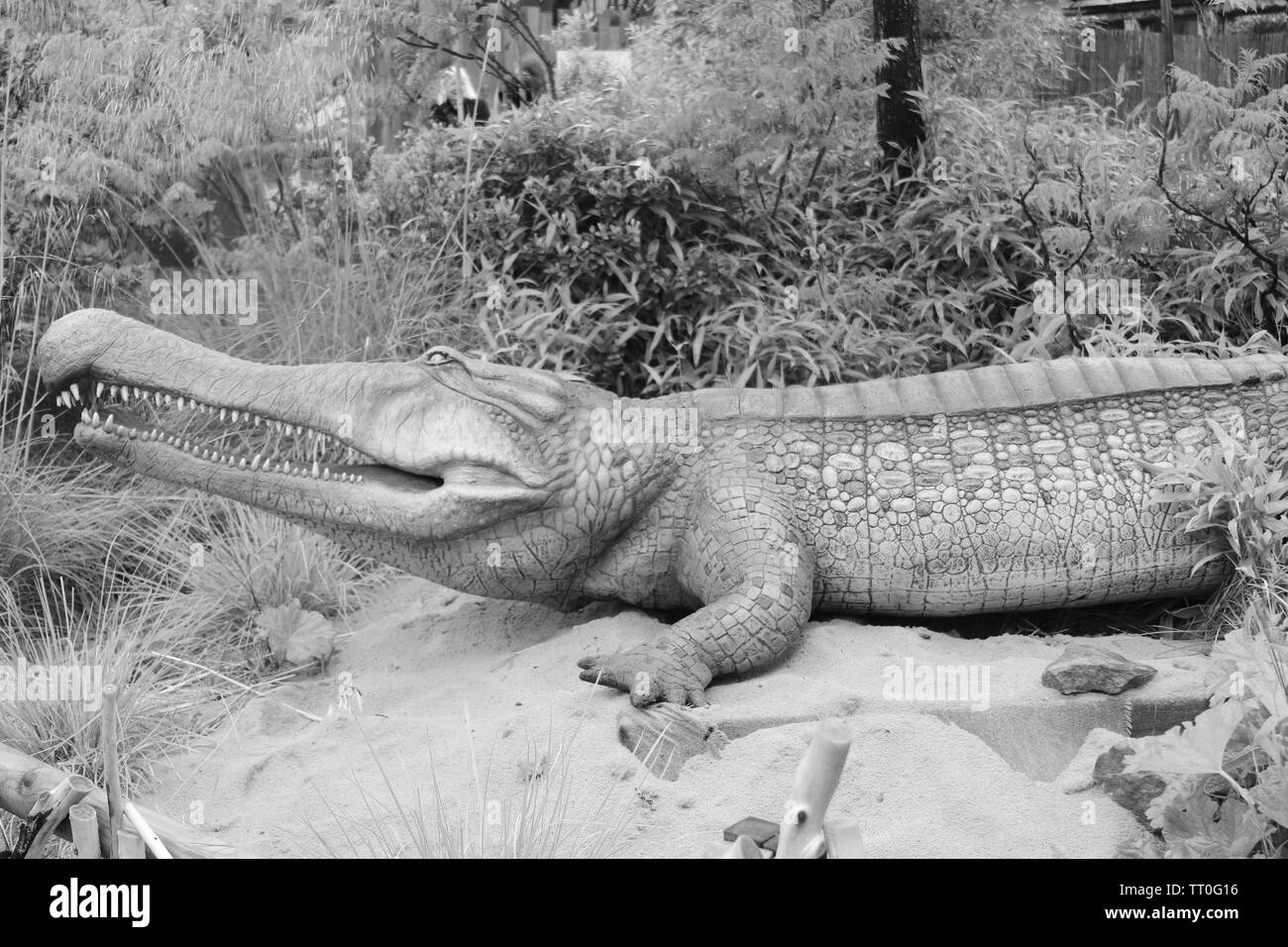 Fearsome predators a world first at Chester Zoo Stock Photo - Alamy