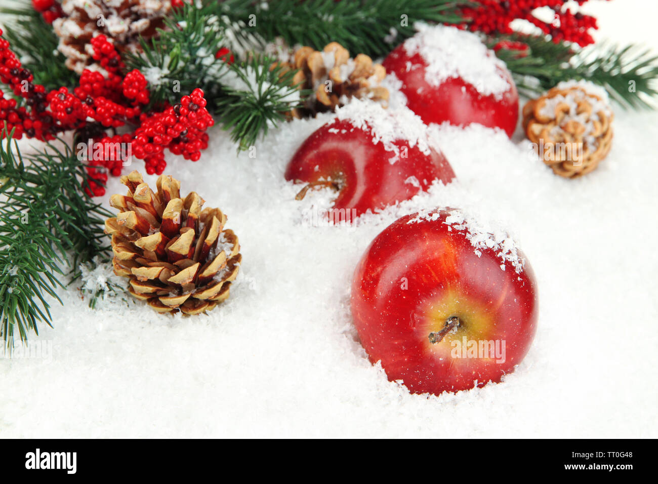 Frosted fir branches close up hi-res stock photography and images - Alamy