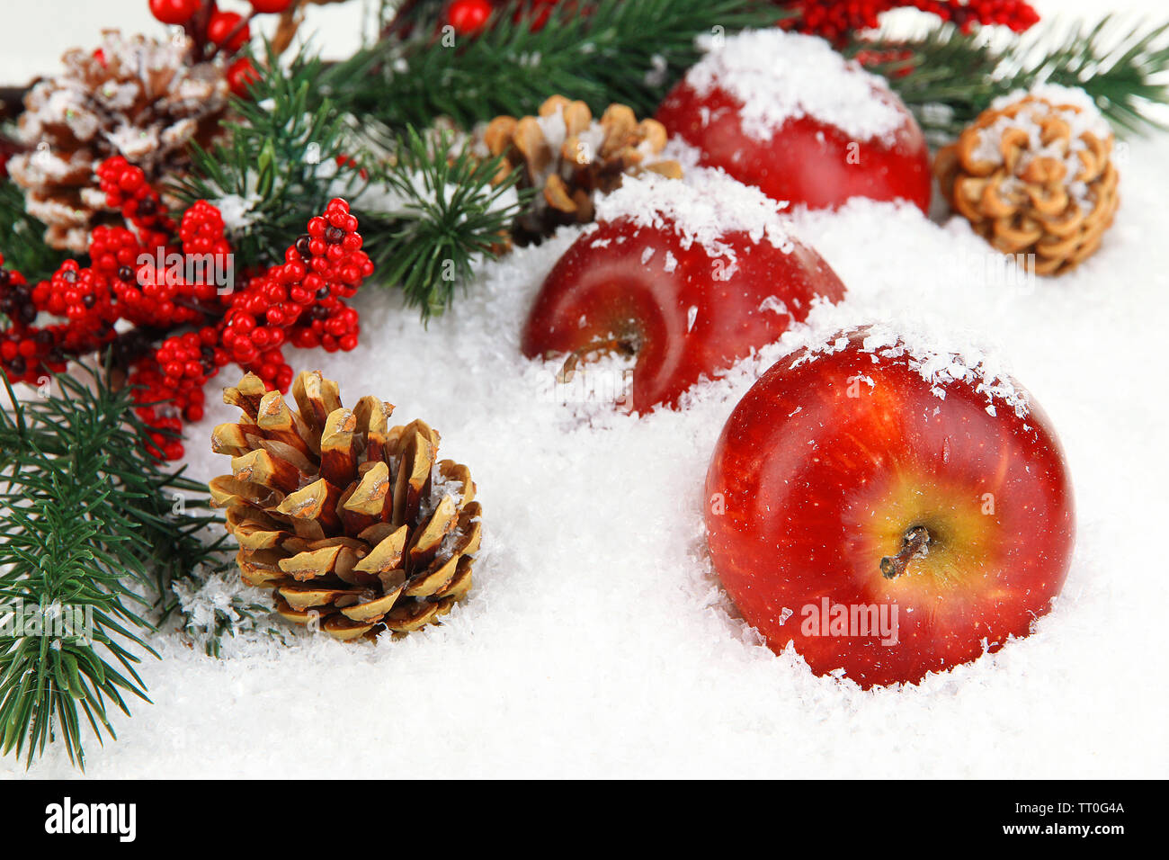 Frosted fir branches close up hi-res stock photography and images - Alamy