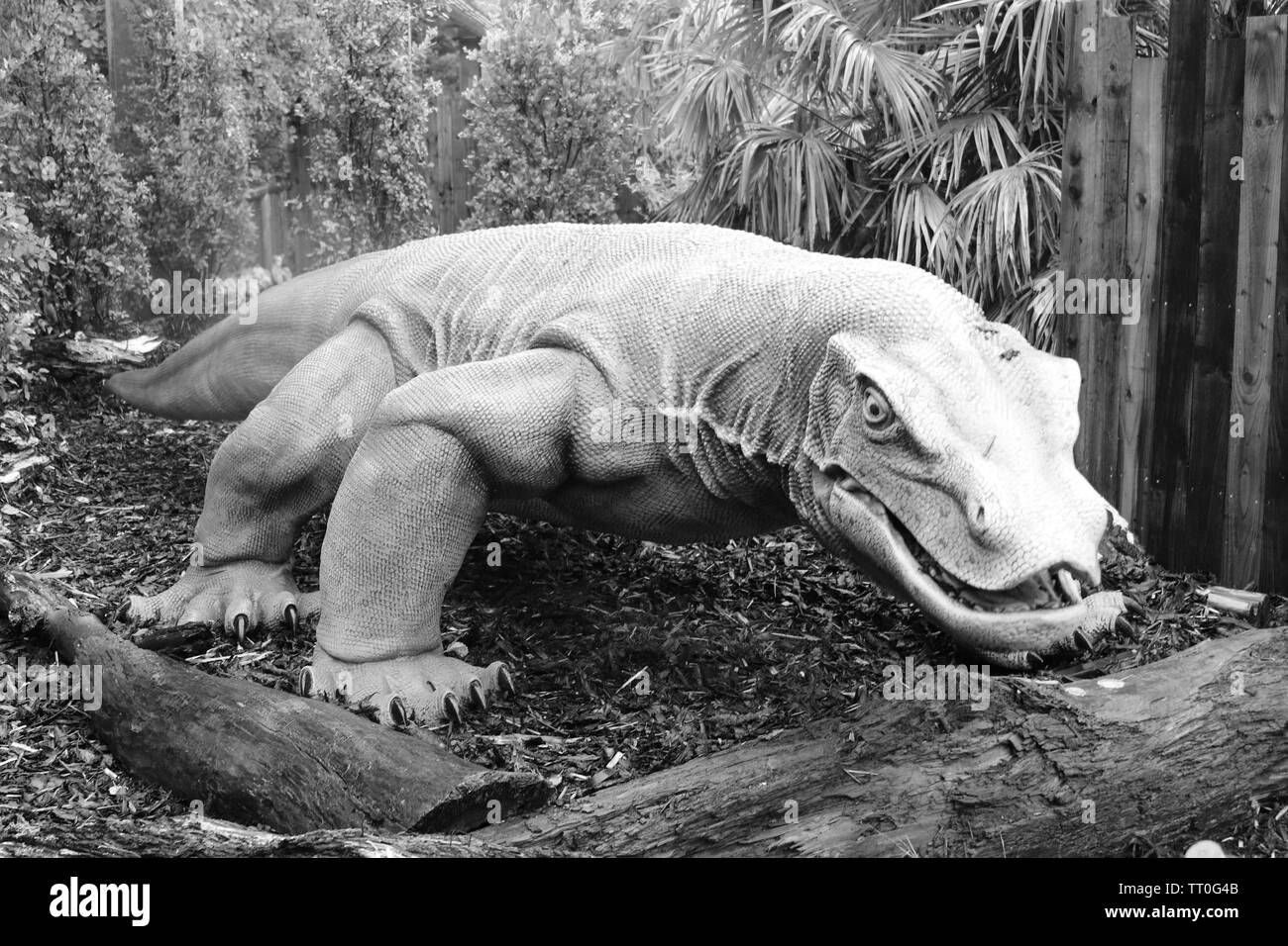 Fearsome predators a world first at Chester Zoo Stock Photo - Alamy