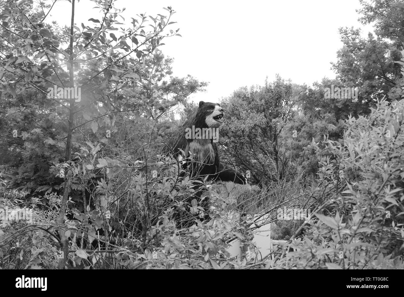 Fearsome predators a world first at Chester Zoo Stock Photo - Alamy