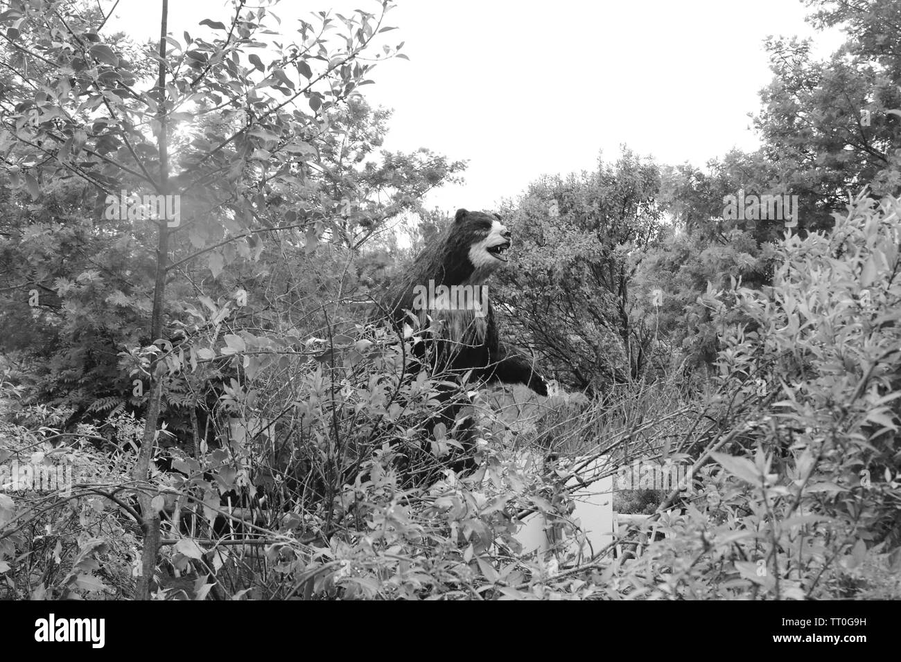 Fearsome predators a world first at Chester Zoo Stock Photo - Alamy